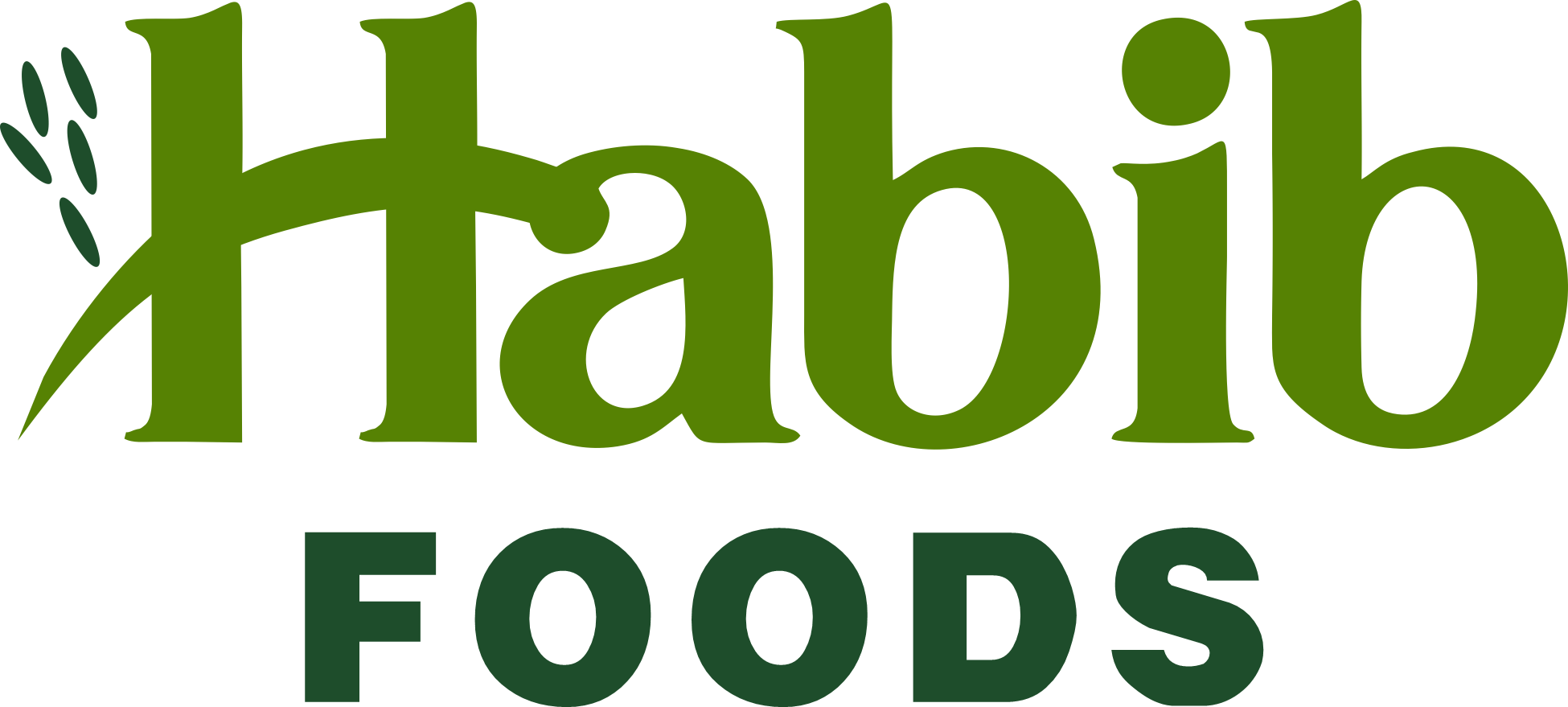Habib Food Premium Basmati Rice in Pakistan