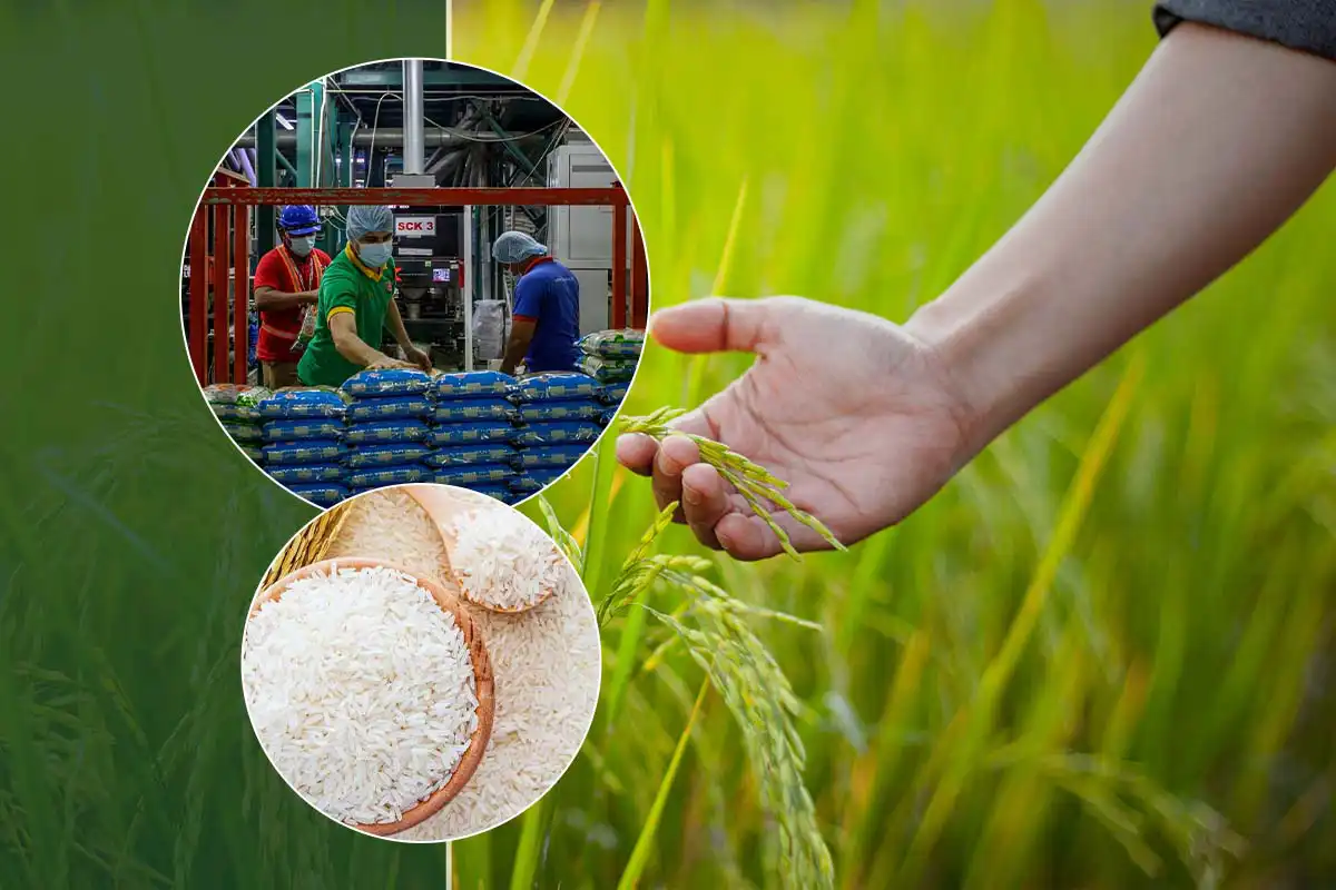 Vision and Mission of Habib Foods